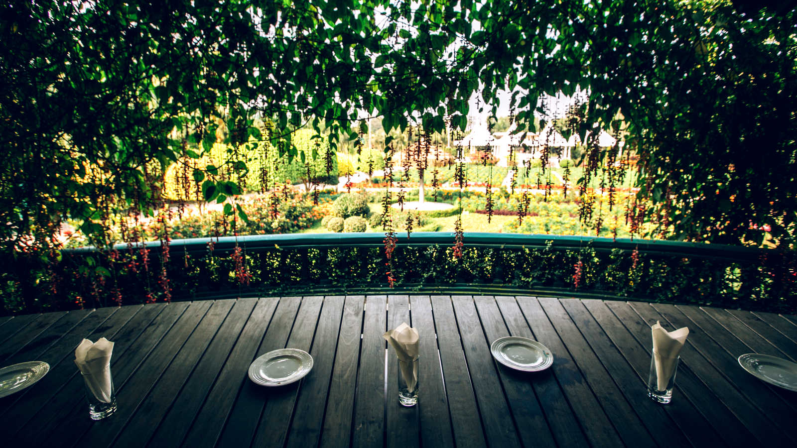 Malancha – GreenViewGolfResort